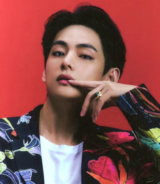 V of BTS, Wikipedia. No. 1 individual Korean celebrity