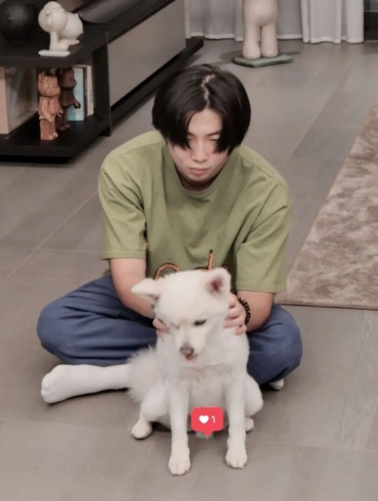 BTS RM, 반려견 무지개 다리 건넜다 '비보'